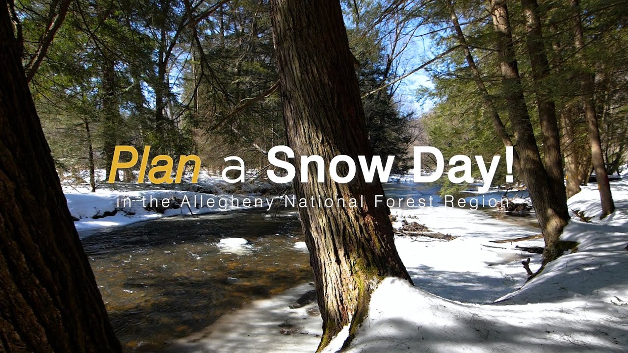 Allegheny National Forest Winter