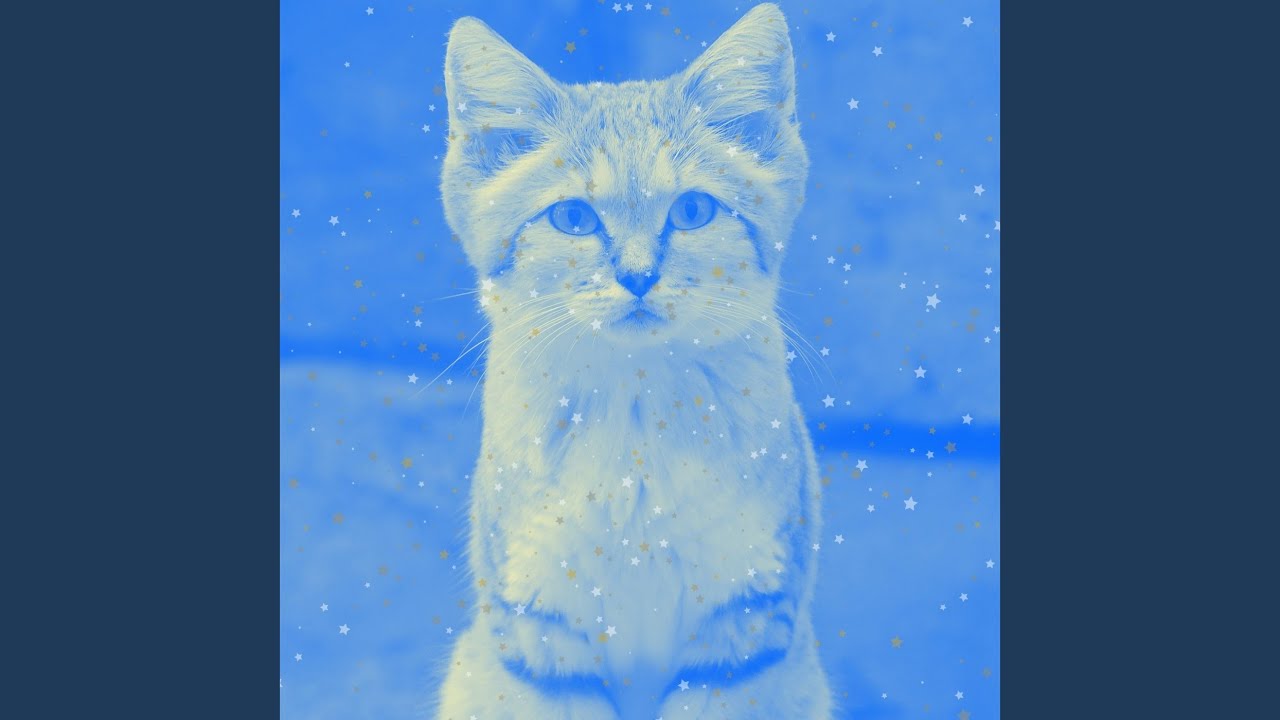 Sprightly Ambience for Cat Memories - YouTube Music