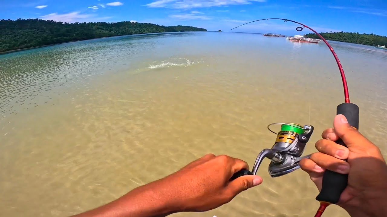 Mga isdang nag Aabang sa tinatapon ko! Isang box puno😆 - YouTube