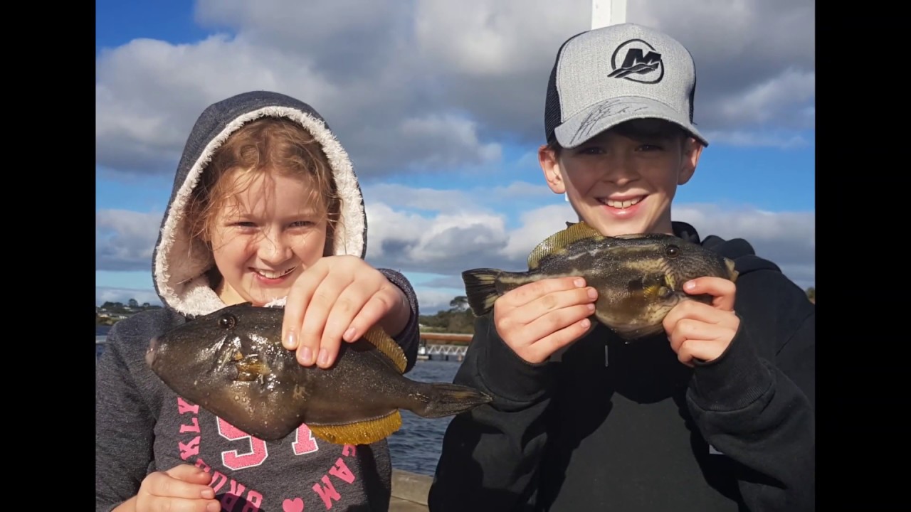 Corinella Pier Western Port Bay - Family Fishing May 2020 - YouTube