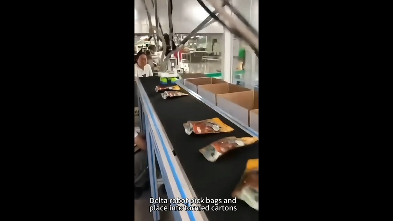 Flexibly integrated Doypack pouch Delta robot Case Packing Line ...