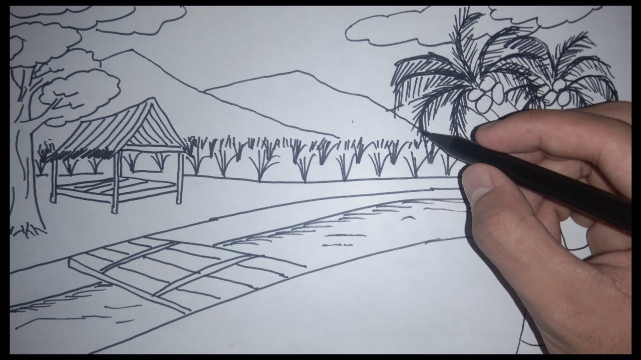 Sangat Mudah, cara menggambar Pemandangan Sawah, Rumah dan Pohon - YouTube