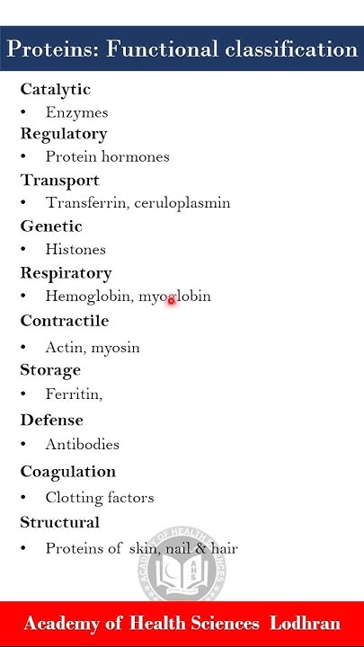 Functions of Proteins | biochemistry | by Imran Yaseen - YouTube