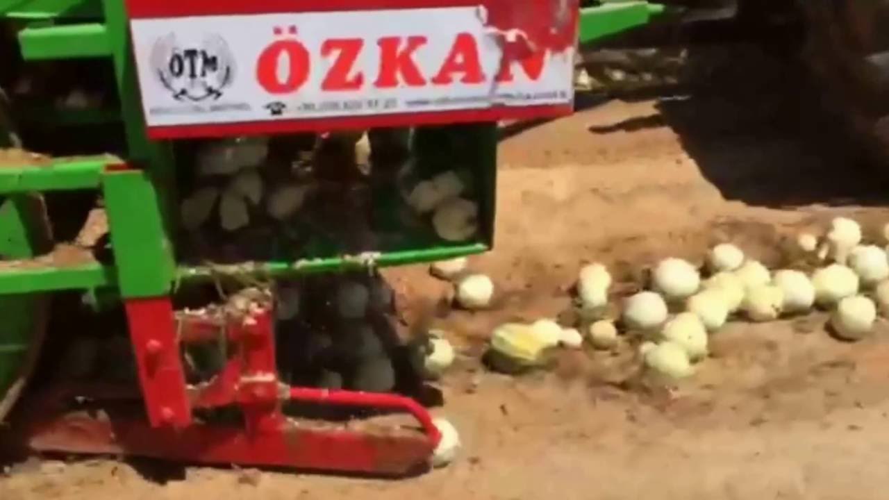 AUTOMATIC PUMPKIN SEED HARVESTING MACHINE FULL 2 - YouTube