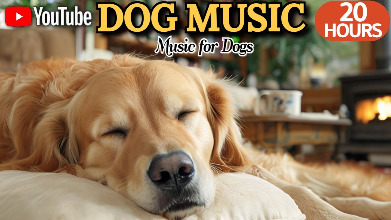 20 HOURS of Dog Calming Music💖🐶Soft Sounds for Dogs to Sleep Better🎵🦮 ...