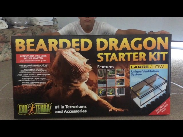 Exo Terra Bearded Dragon Kit