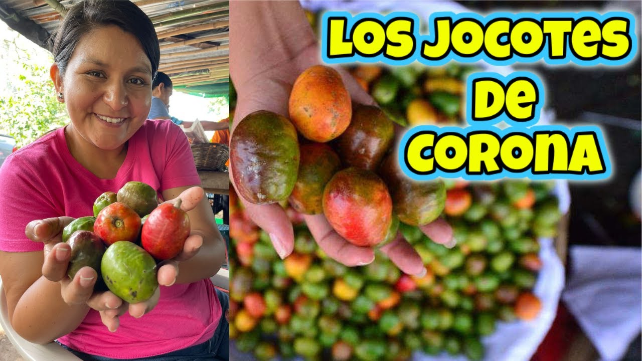 "¡El secreto mejor guardado de El Salvador! Descubre los Jocotes de ...