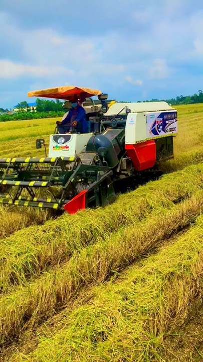 Máy Cắt Lúa 🌾 - YouTube