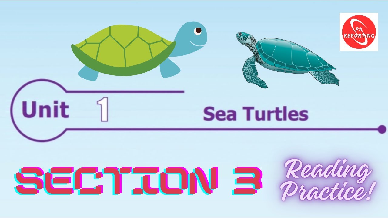 6th Standard | Unit - 1 | Prose - Sea Turtles | Section - 3 Reading ...