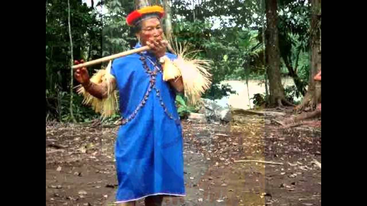 Comunidad Secoya - YouTube