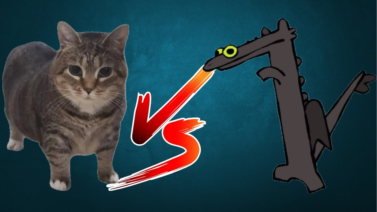 OIIA Cat x Toothless Dragon Dance meme - YouTube