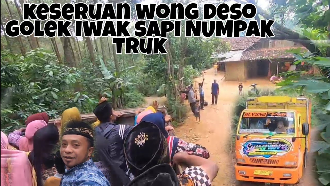 KESERUAN WONG DESO GOLEK IWAK SAPI lll NUMPAK truk asik cuyy...😀 - YouTube