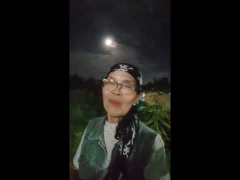 Yaw Lay Videos #35