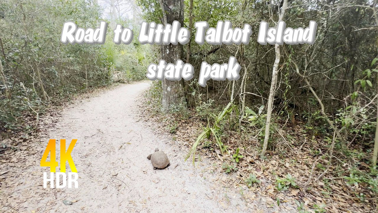 Road to Little Talbot Island state park - YouTube