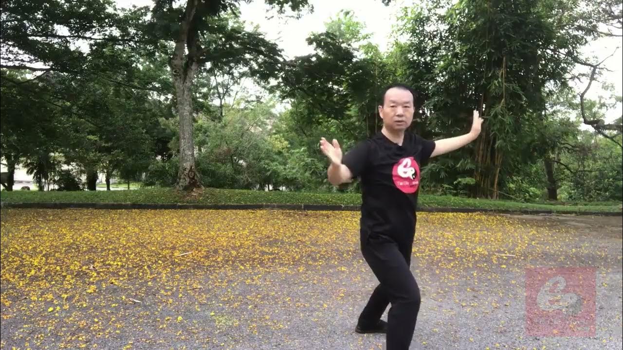 Chen Style Tai Chi New Frame First Routine 陈氏太极拳新架一路 - 32 高探马 I High Empty Stance I - YouTube