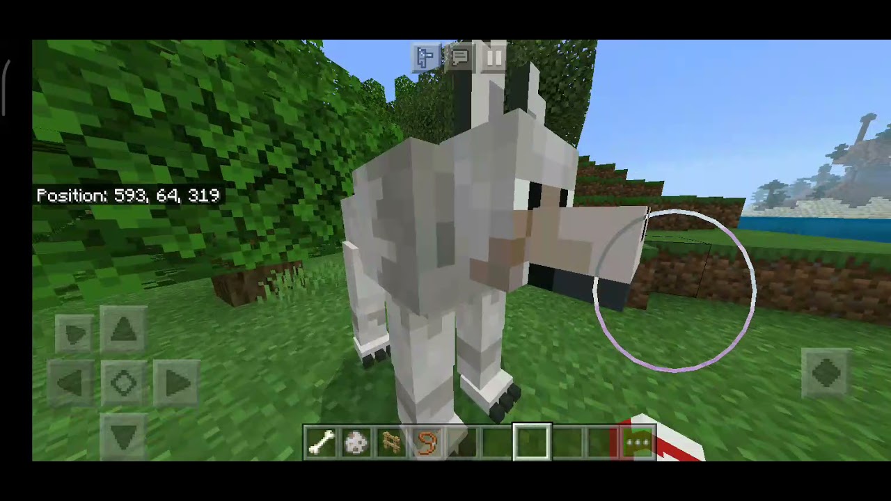 Taming and riding mutant wolf! in minecraft - YouTube
