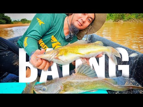 Memburu pemangsa bermisai #vlog 62 - YouTube