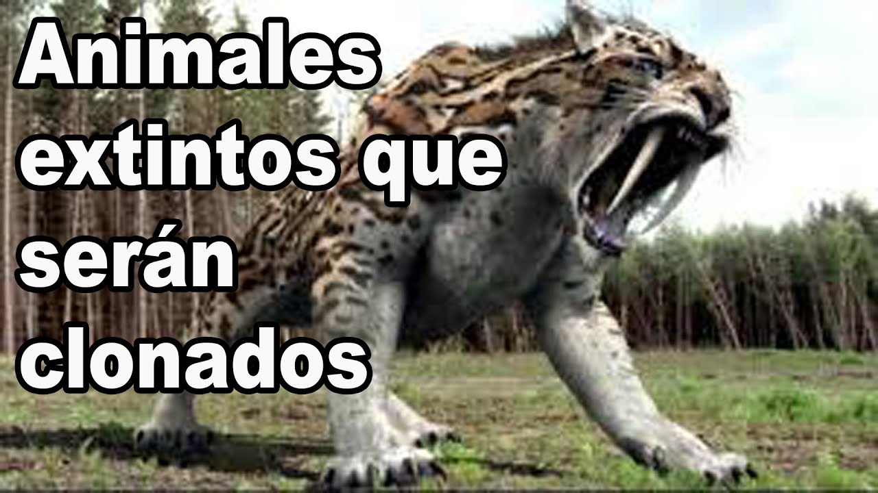 30 Animales que volveran a la vida con la clonacion - YouTube