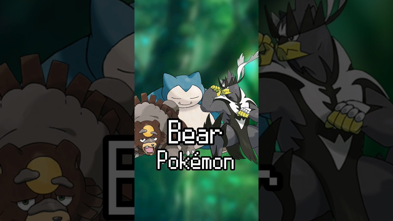 Every Bear Pokemon in 50 Seconds! - YouTube