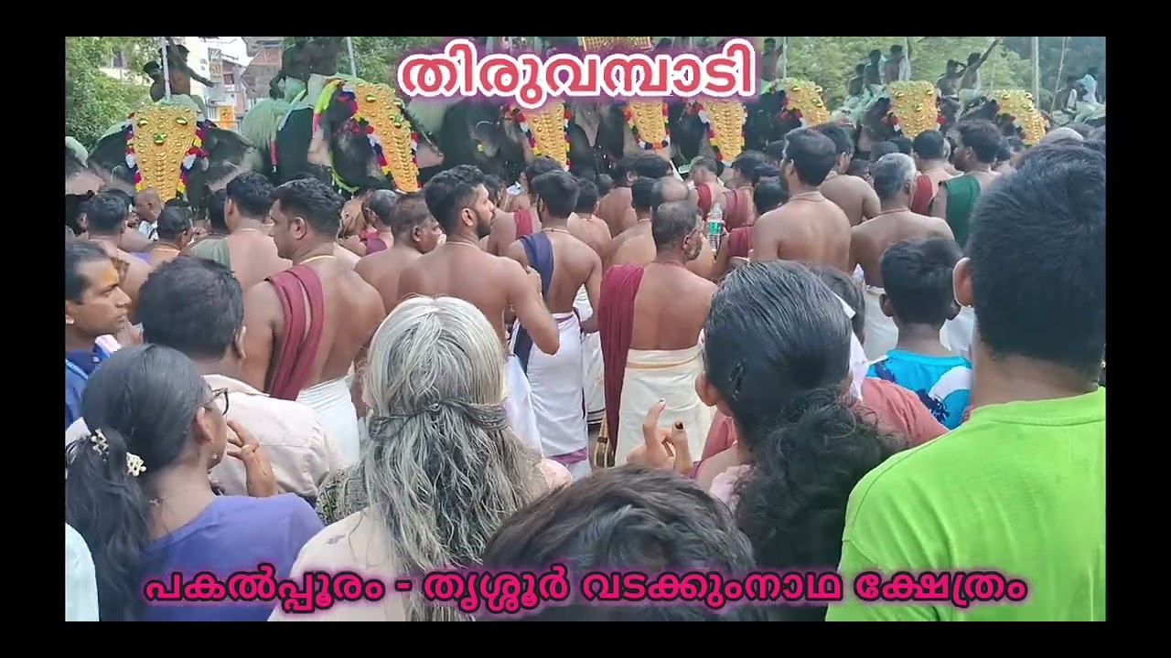 Thrissur Pakalpooram 2015 - YouTube