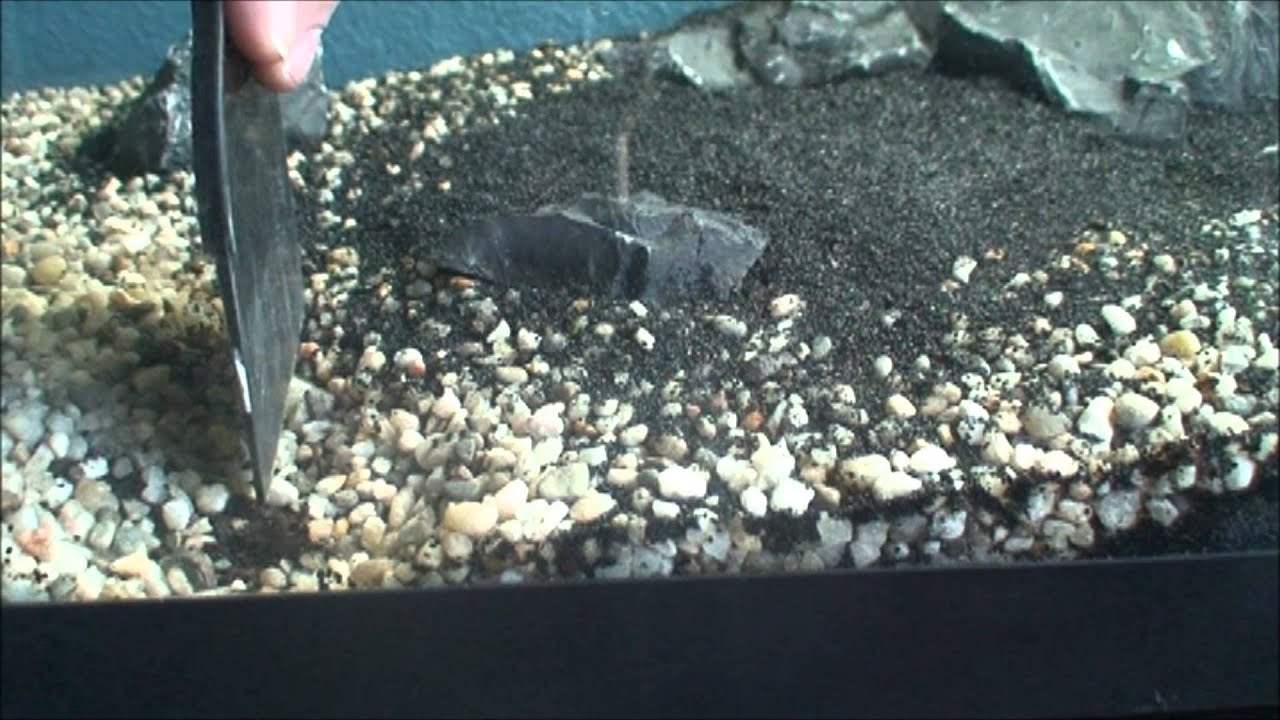 Explaining the Walstad Method: Build Series, Dirt and Plants - YouTube