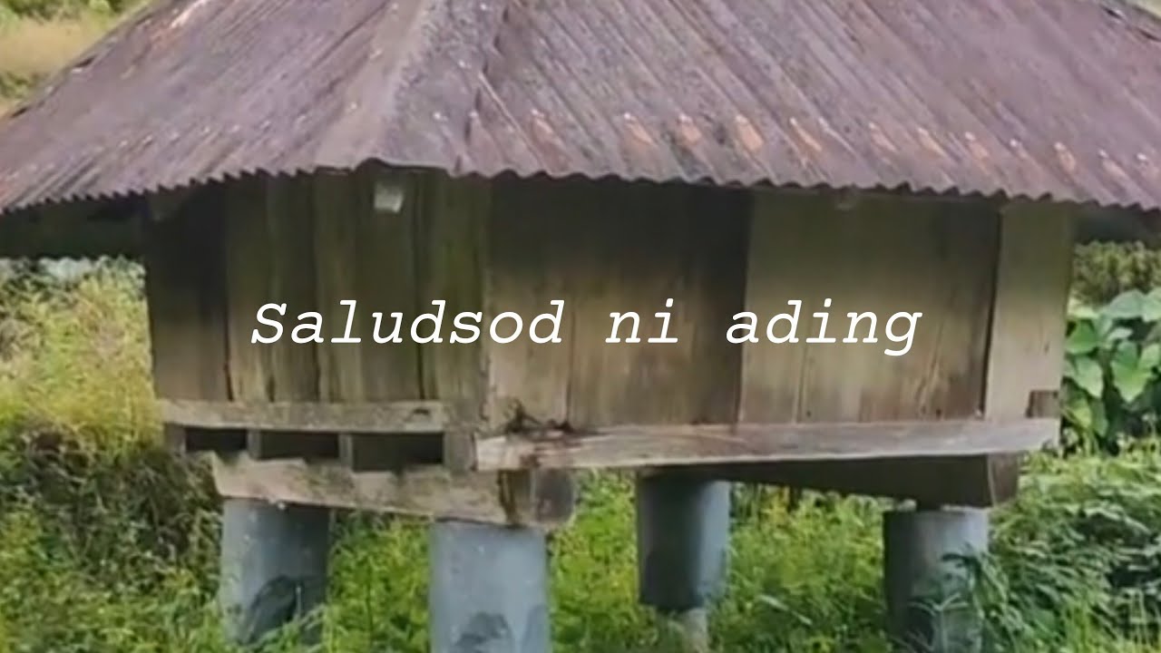 Saludsod ni ading - Salidummay DKK (COVER) - YouTube