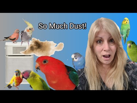 Removing Bird Dander, Dust and Feathers from Air Purifier and Heater ...