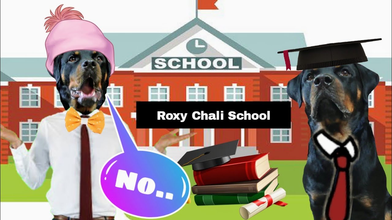 My Rottweiler going to school || Roxy Chali School (EP.1) || Dog Can ...