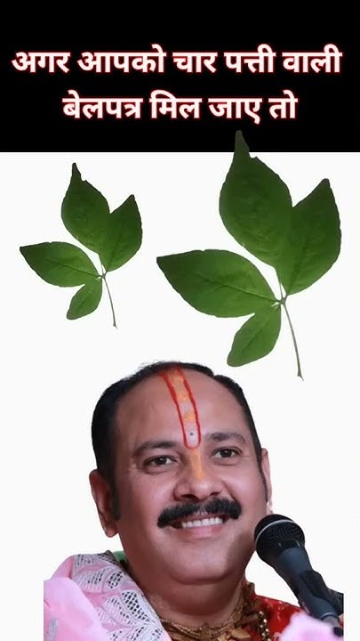 char Patti wale belpatra mil jaaye to pandit Pradeep Mishra ji - YouTube char Patti wale belpatra mil jaaye to pandit Pradeep Mishra ji - YouTube