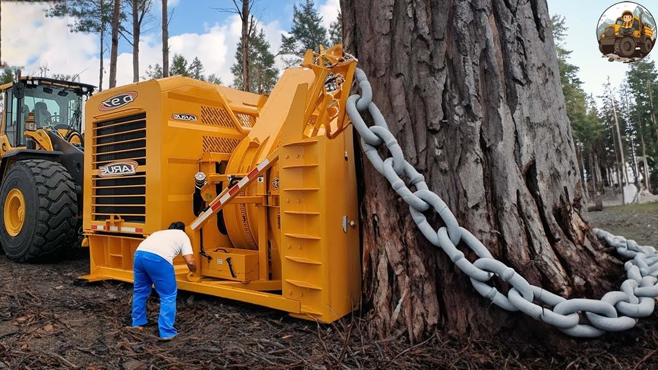 100 Fastest Extremely Dangerous Log Harvester | Impressive Industrial ...