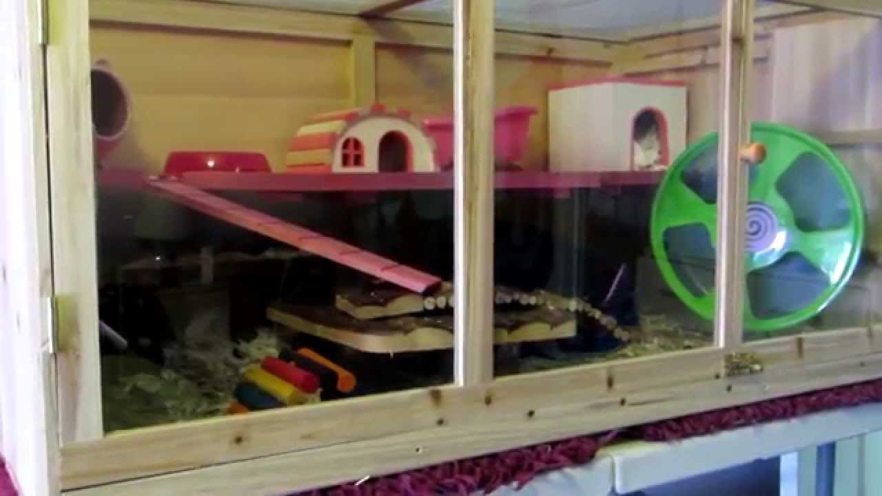 Boo's cage tour - YouTube