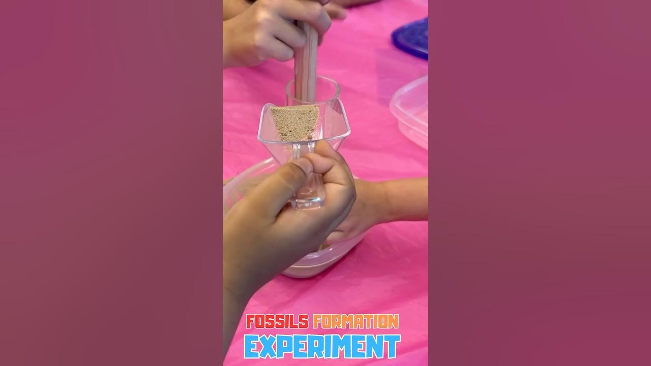 Fossils Formation Experiment 🧑‍🔬 #fossil #experiment #science #shorts - YouTube