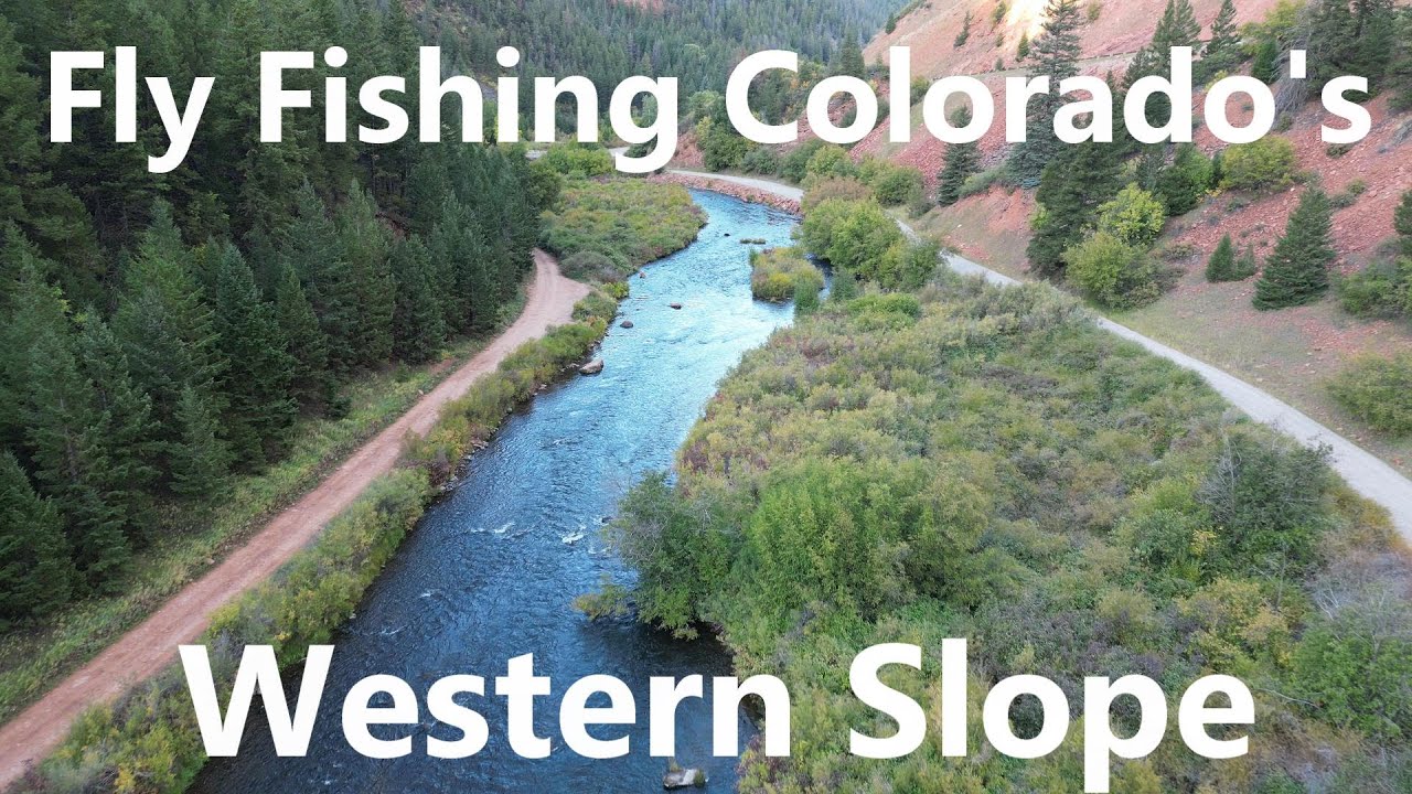 Fly Fishing Colorado's Western slope with MASSIVE Dry Flies ...