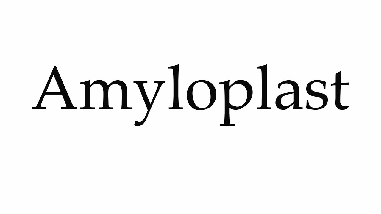 How to Pronounce Amyloplast - YouTube