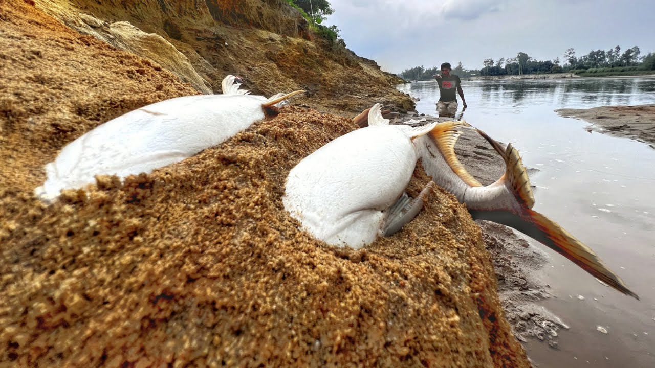 Really Amazing Fishing Technique In River Side Dry Underground Stuck ...