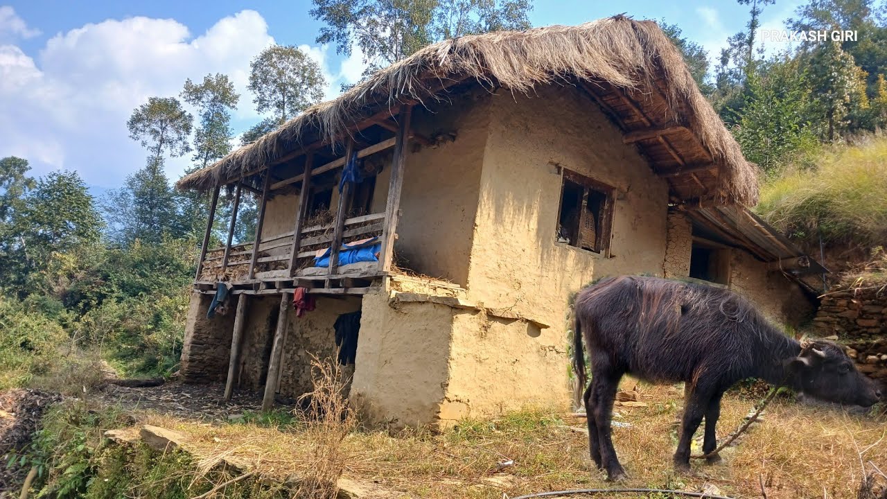 Most Beautiful and Peaceful Himalayan Mountion village lifestyle ...