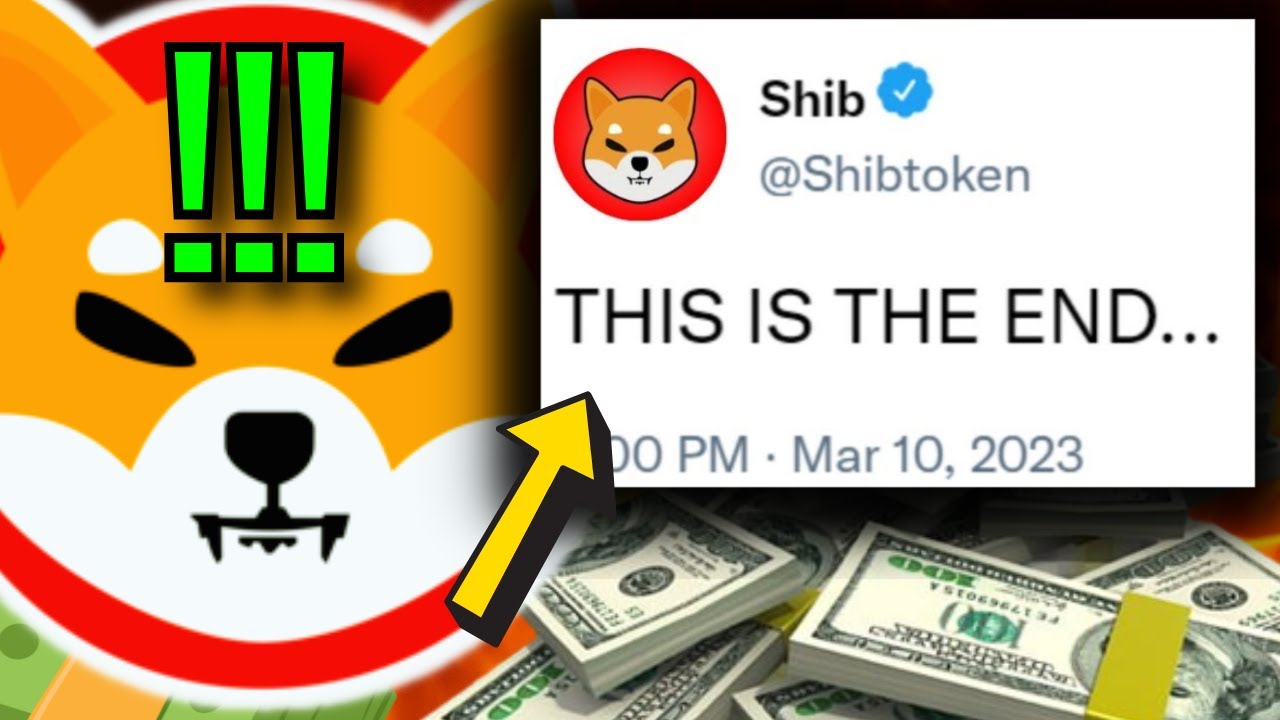 SHIBA INU FINALLY REAL CREATOR OF SHIBA INU WAS JUST FOUND!! - SHIBA ...