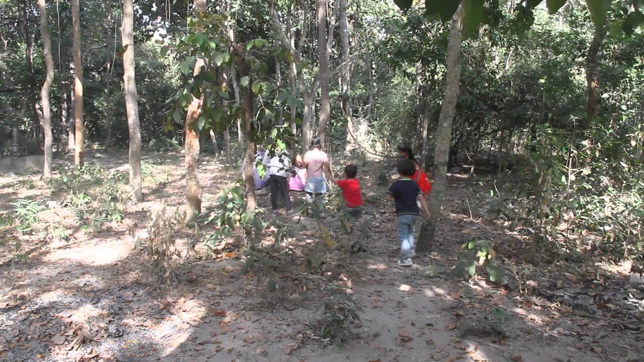 Chasing Monkeys - YouTube