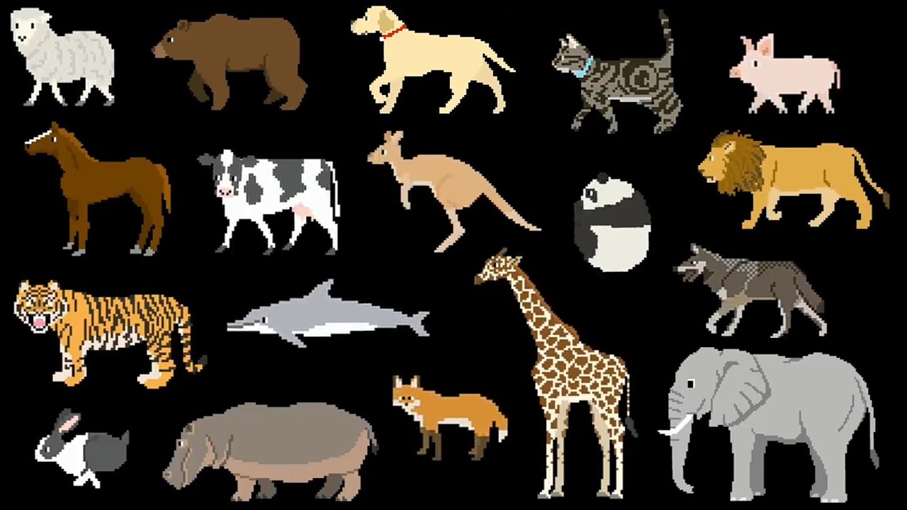 Mammals - The Kids' Picture Show - YouTube