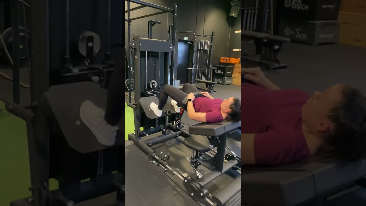 Gym80 Bootymizer Machine (gluteus maximus, gluteus medius, gluteus ...