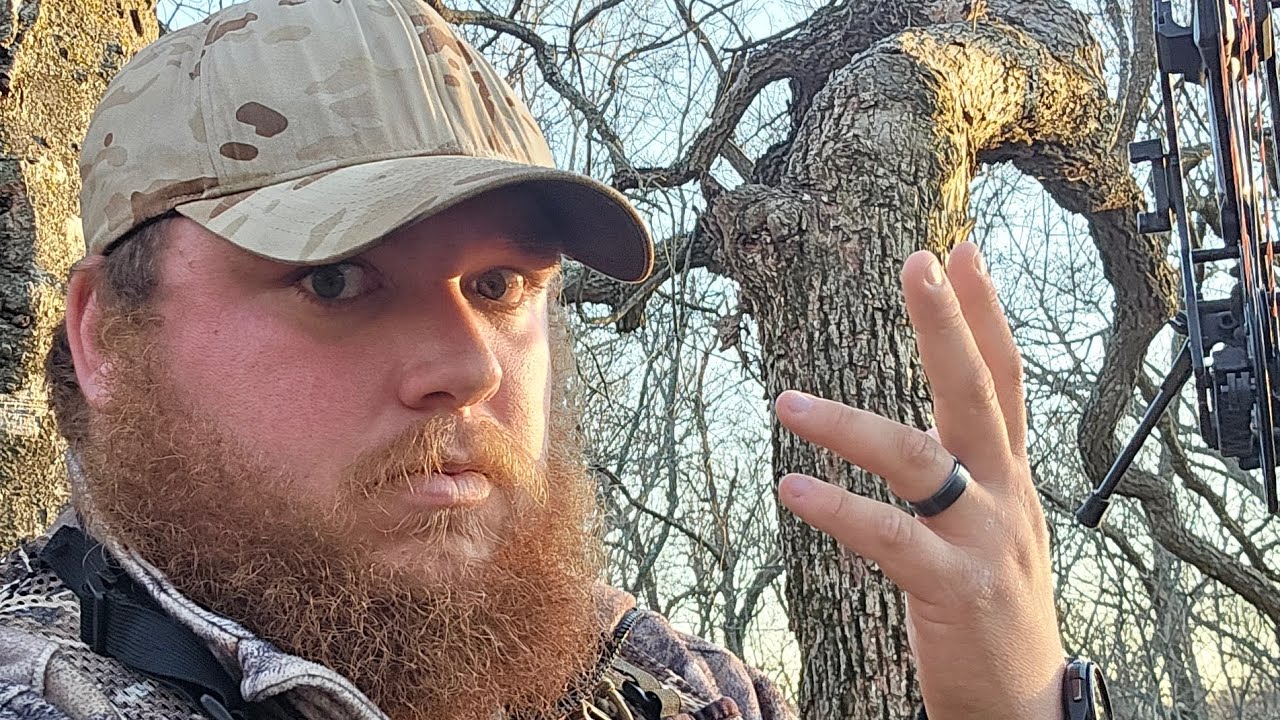 How did that boar survive that? #bowhunter - YouTube