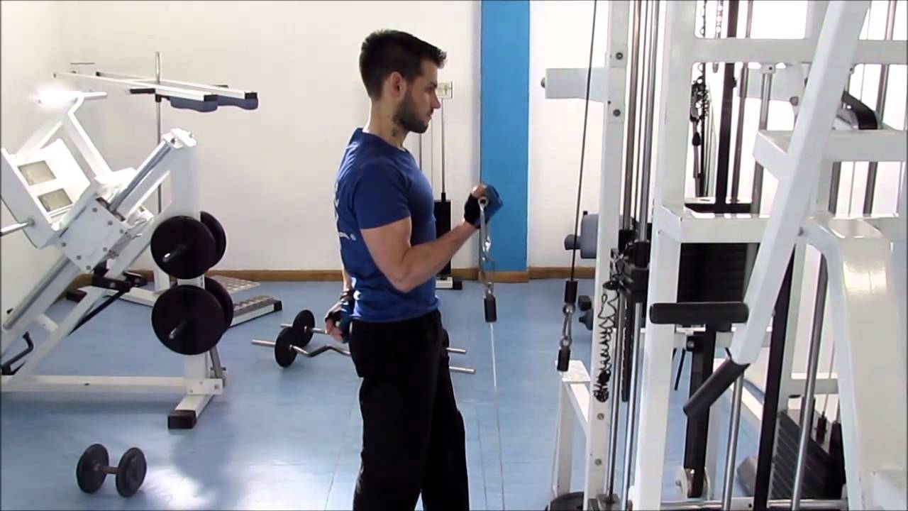 Curl una mano polea baja (supino) - YouTube