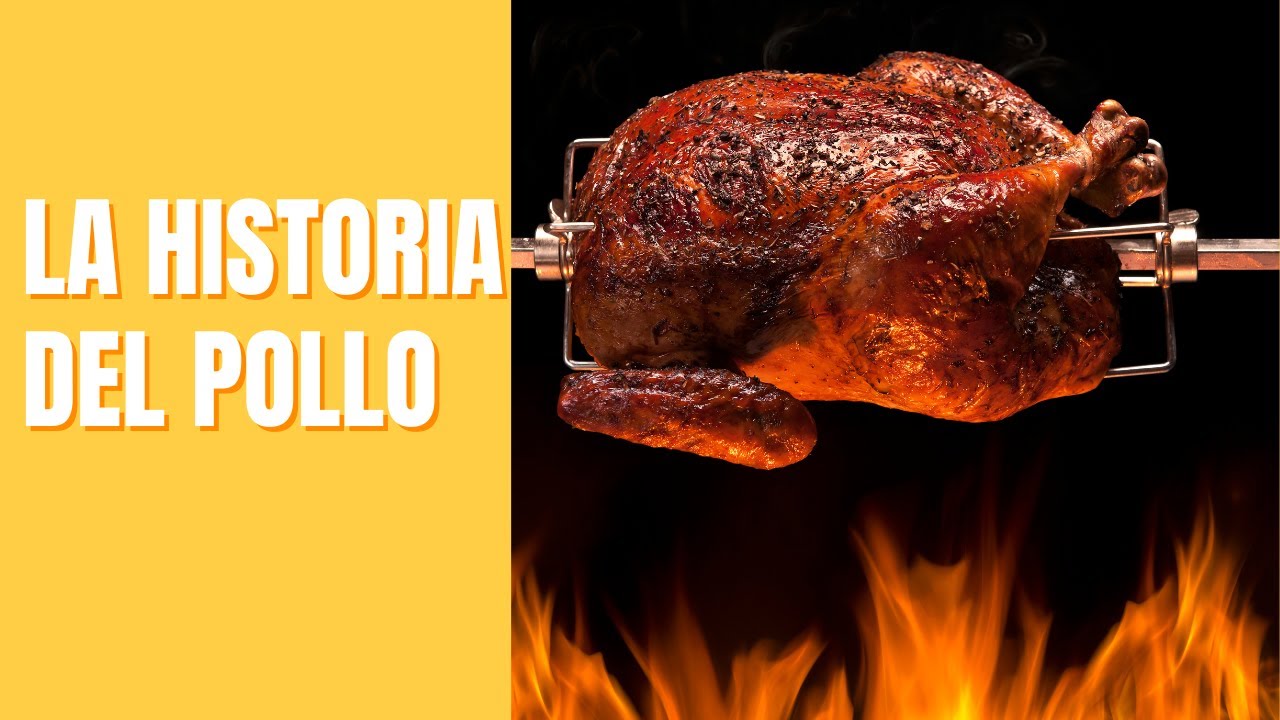 LA HISTORIA DEL POLLO - YouTube