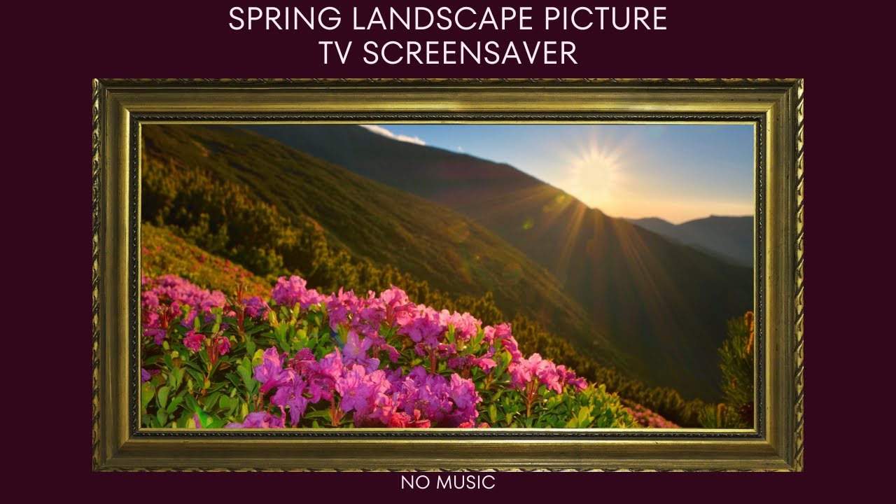 Spring Flower Landscape Picture with frame tv screensaver video 4K NO ...