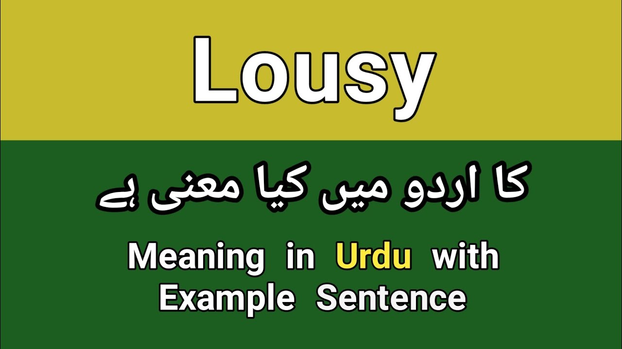 Lousy meaning in urdu/hindi || Lousy ka matlab kia hota ha || Lousy in ...