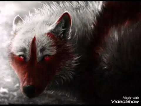 Erdal Toprak-Cenneti ver bana