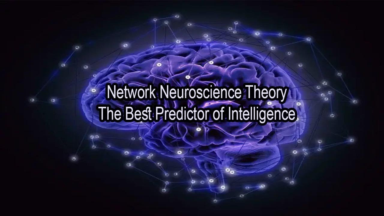 Network Neuroscience Theory – The Best Predictor of Intelligence | Sci-Tech News - YouTube