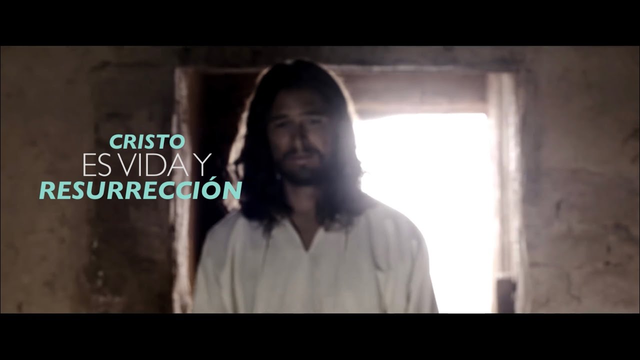 El Amor Vive HD - YouTube