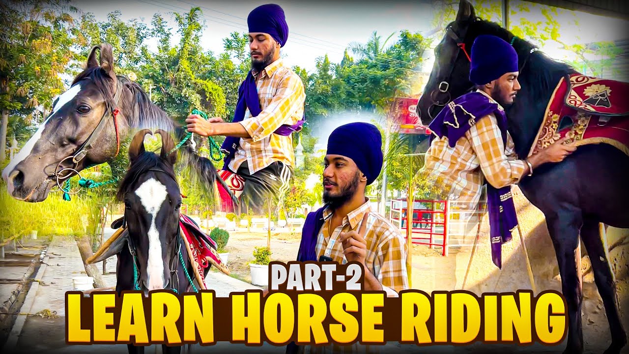 HORSE RIDING🐎 ️ || (PART 2) || LEARN HORSE RIDING WITH US - YouTube