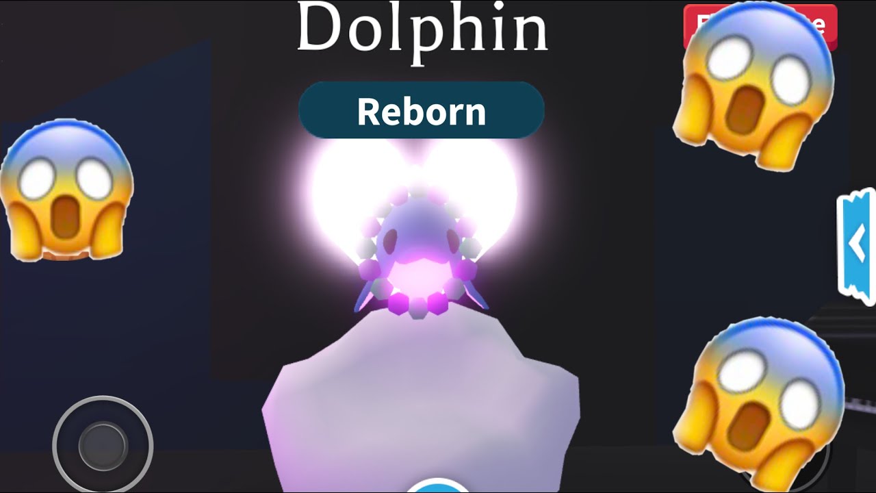 Making My FIRST Neon Dolphin In Adopt Me!! || AddieTheButterfly - YouTube